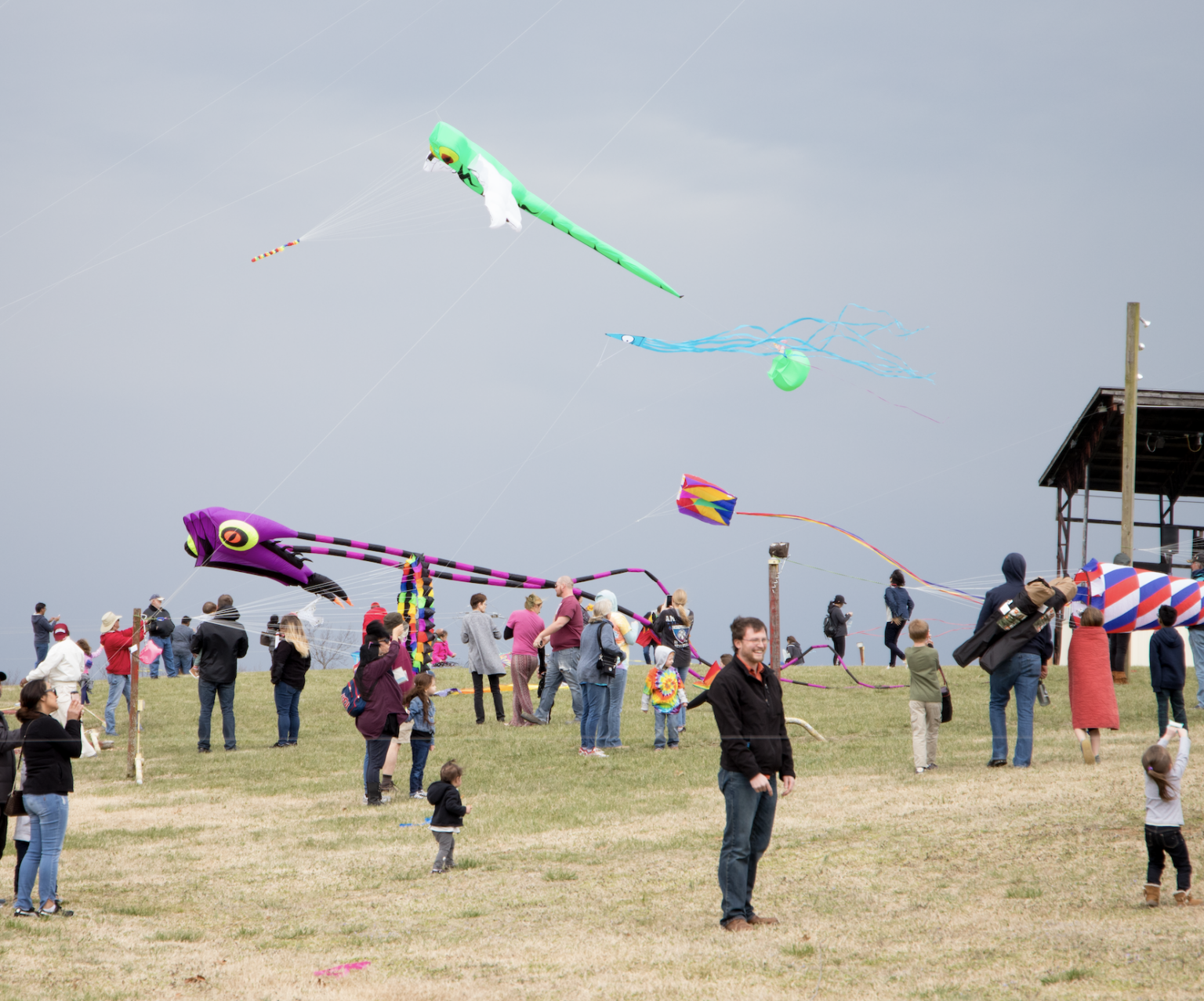 Kite Fest | Turpentine Creek Wildlife Refuge